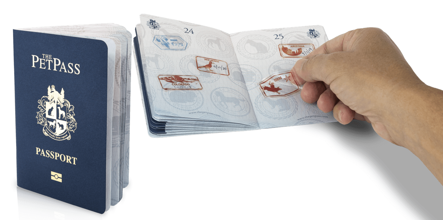 Traveling with Your pet: Unleash the Fun, Keep It Safe! – The Pet Pass