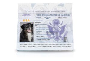 The Pet Pass PLUS+ – The Pet Pass